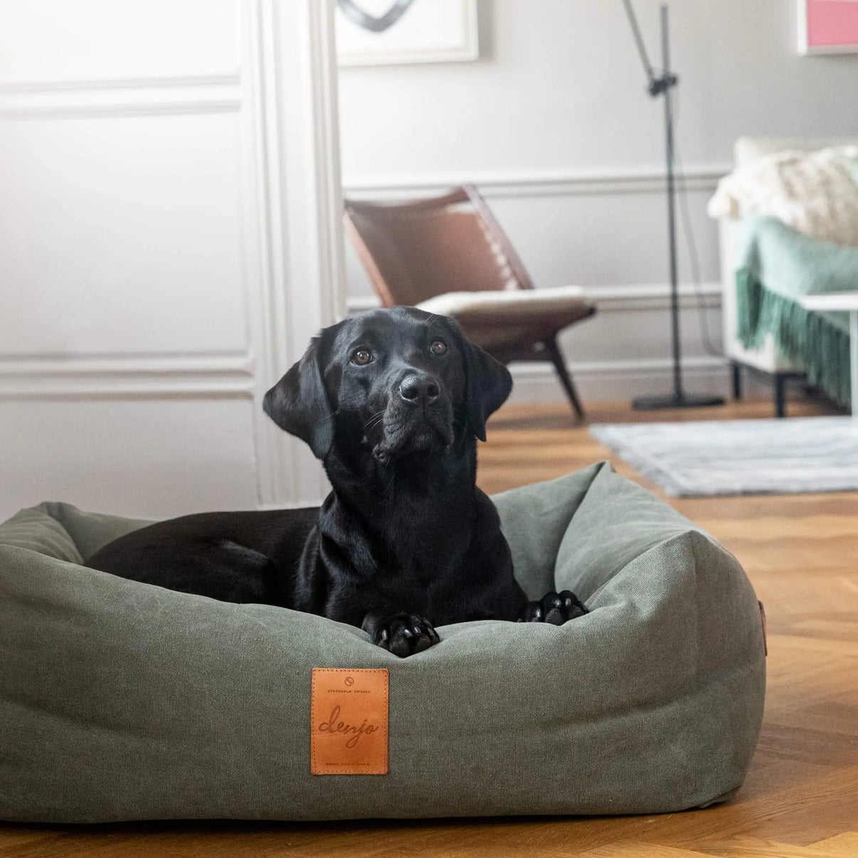 Hundeseng Classic Nest lærdetalj | Desert Green | Denjo Dogs – WePet.no