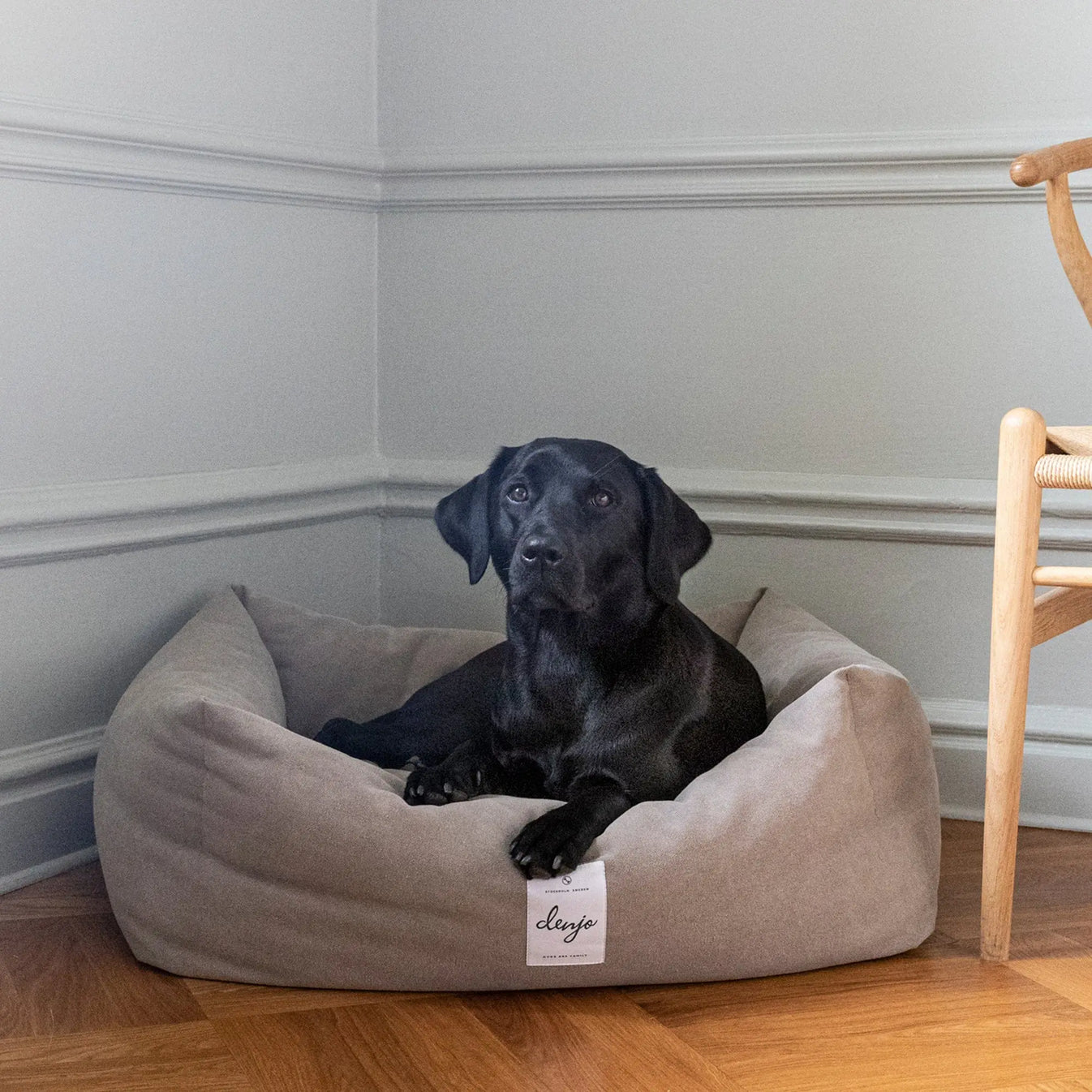 Hundeseng Classic Nest | Sand Beige – Komfort fra Denjo Dogs – WePet.no